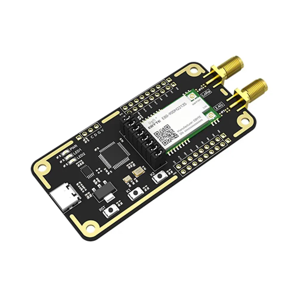 E80-900MBL-01 LoRa dual-frequency module development board LR1121 chip ...