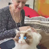 Metacat Smart Robot Cat Interactive Companion Pet Robotic Pet(Ragdoll ...