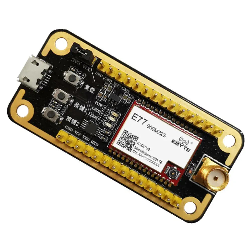 E77-900MBL-01 LoRa wireless data transmission anti-interference test ...