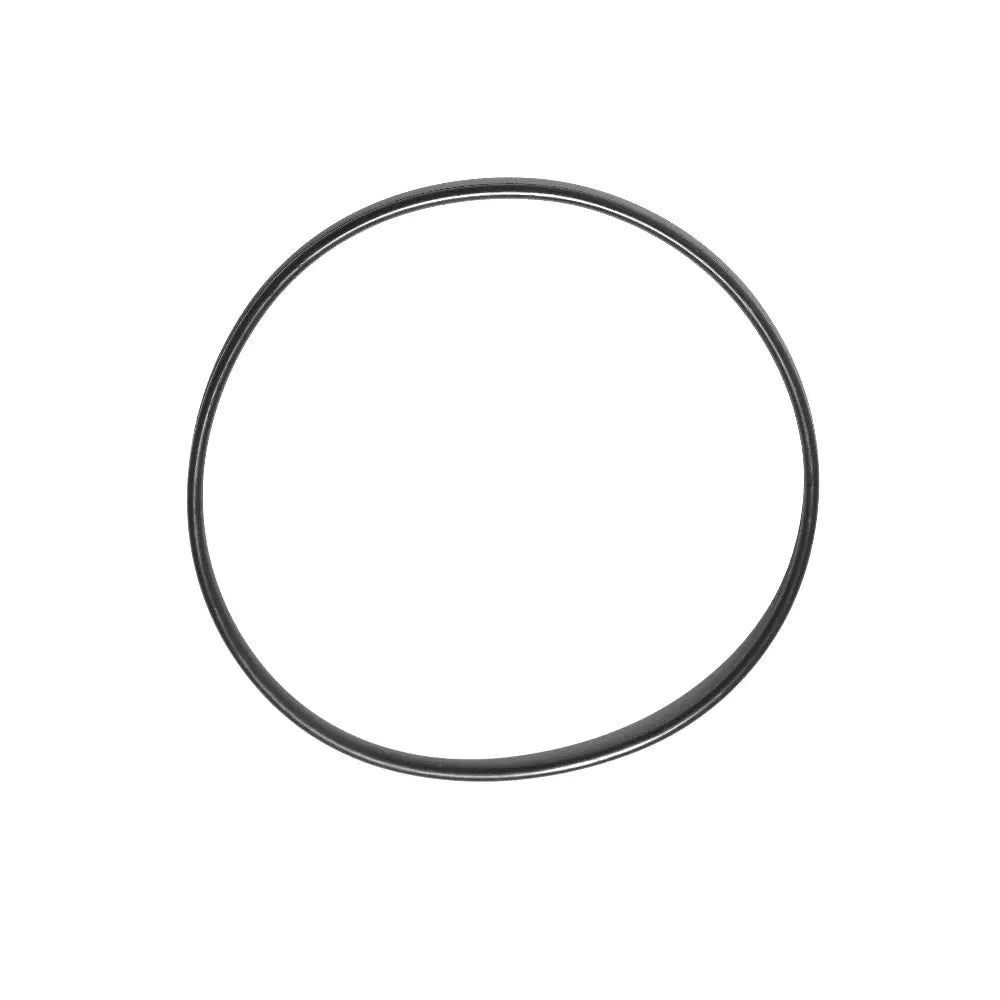 BlueRobotics Spare O-Ring for 1 Liter Watertight Box Lid - RobotShop