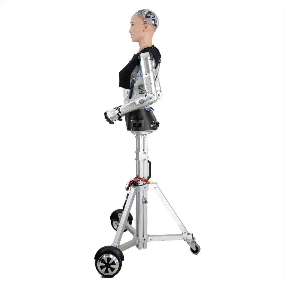 Hanson Robotics Sophia 2020, R&D Version - RobotShop