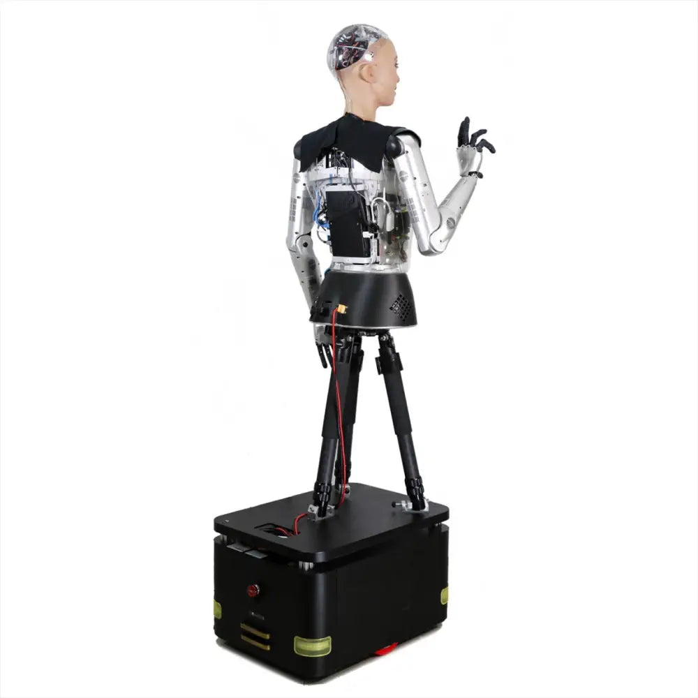 Hanson Robotics Sophia 2020, R&D Version - RobotShop