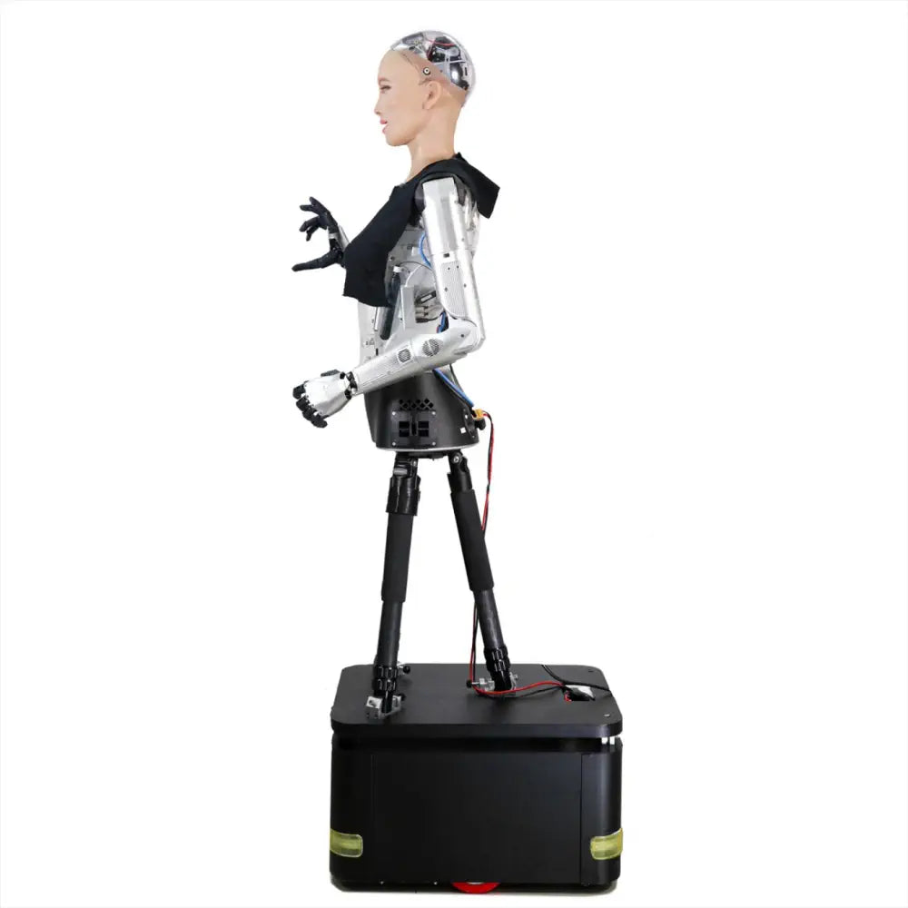 Hanson Robotics Sophia 2020, R&D Version - RobotShop