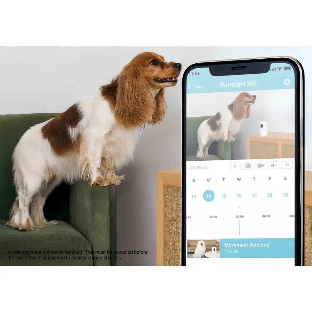 Instachew Purrsight 360° Smart App Pet Camera w/ Night Vision & 2 Way ...