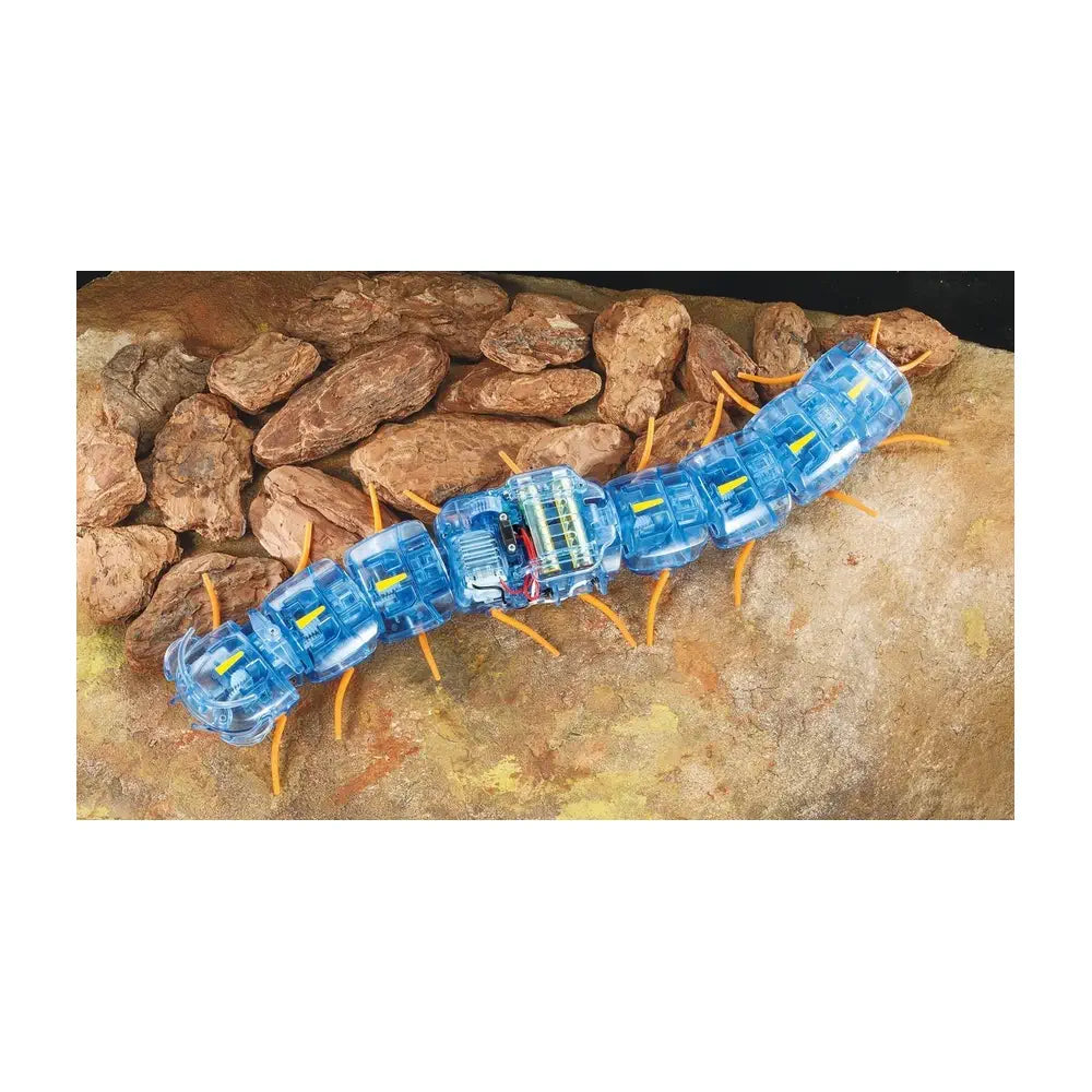 Tamiya Centipede Robot - RobotShop